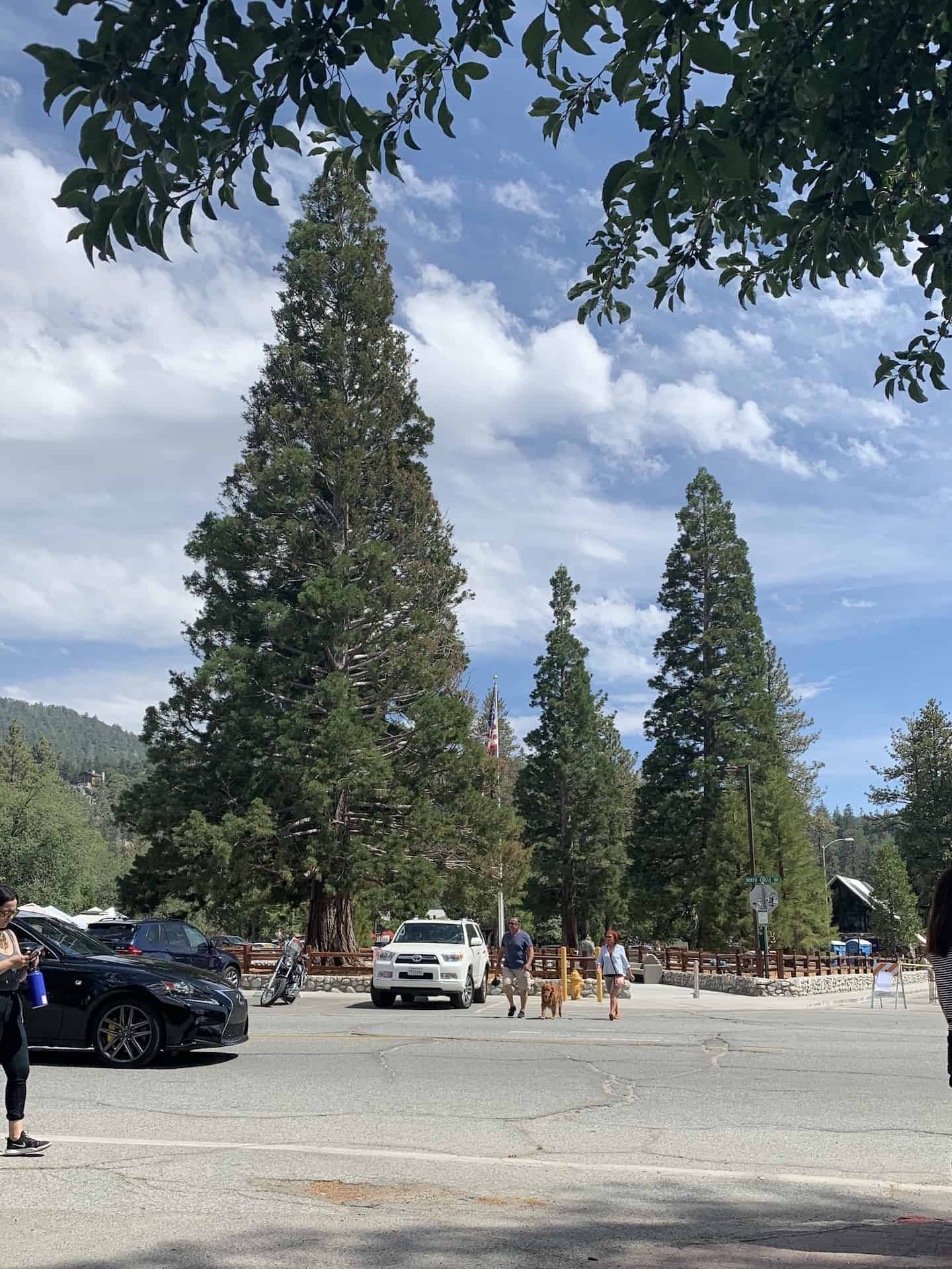 WHAT TO DO IN IDYLLWILD, CA - Mile Marker Memories