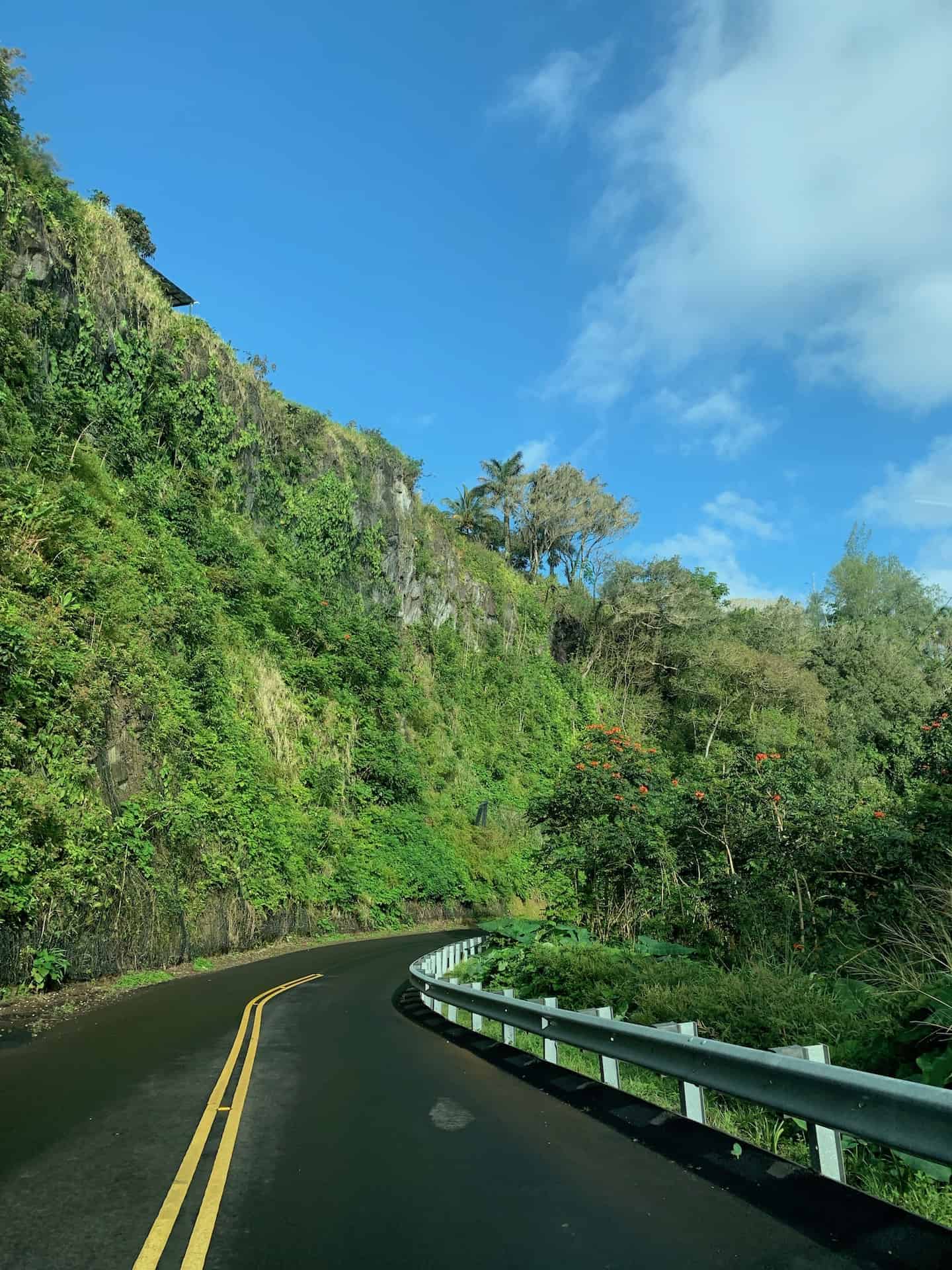 OUR FAVORITE ROAD TO HANA STOPS | Mile Marker Memories